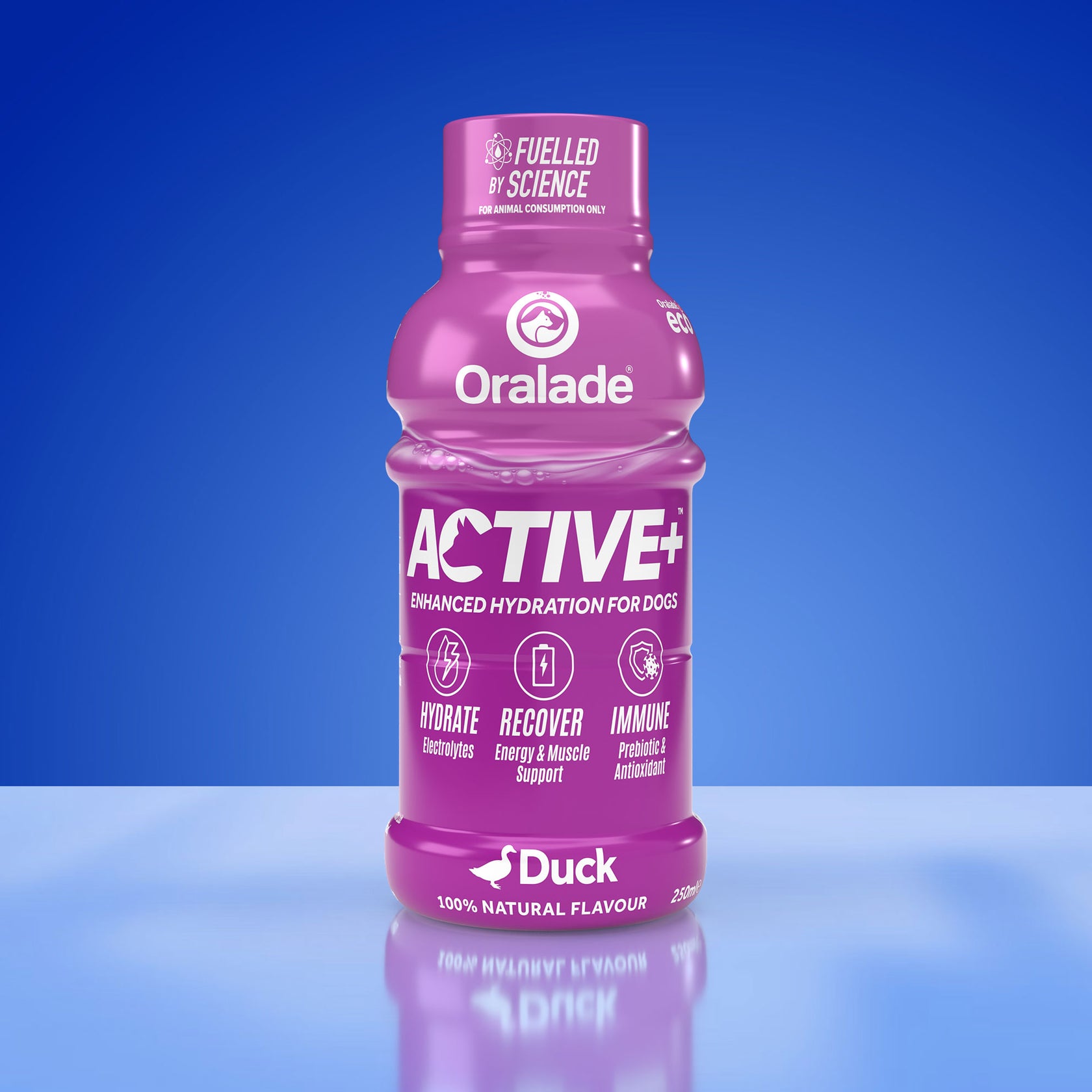 Oralade Active+ Duck | Fast Pet Hydration & Energy Drink | 250ml